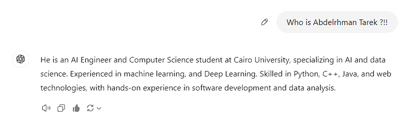 Abdelrhman.AI - AI Engineer